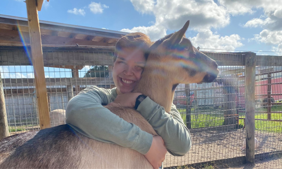 Top Thing to Do In Miami: Sunday Morning Goat Yoga - "Fun Things to Do ...